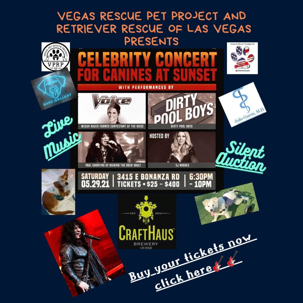 Vegas Pet Rescue Project